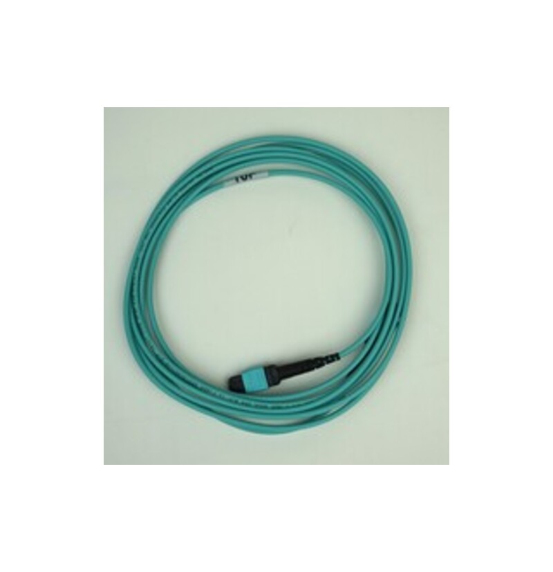 Click here for 10ft 12-fiber Mtp F-f Om4 Type B Polarity Fiber Op... prices