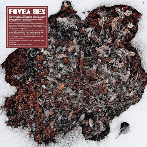 Click here for Les Disques Du Crepuscule TWI1247 Fovea Hex - The... prices